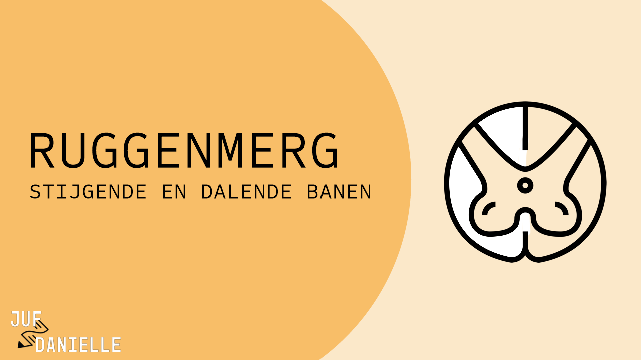 Zenuwstelsel Archieven | Juf Danielle