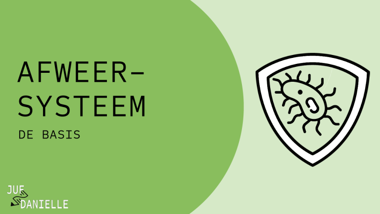 Fagocytose – Juf Danielle