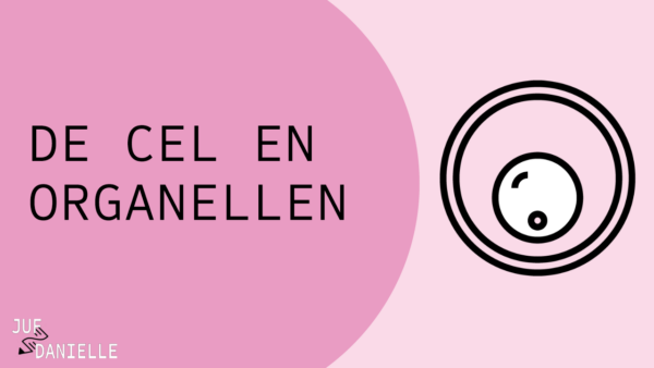 Celcyclus – Juf Danielle