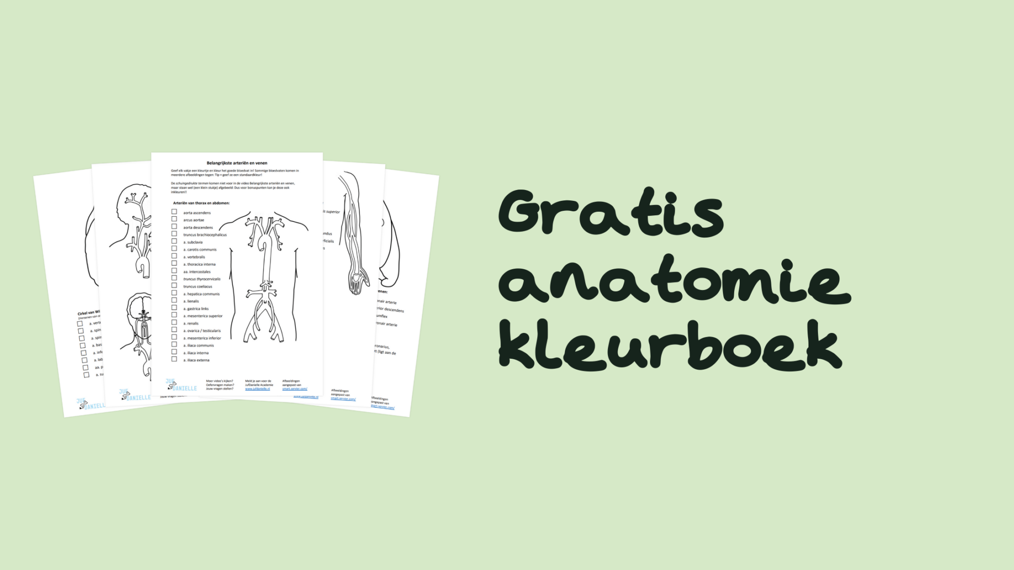 Docent – Juf Danielle