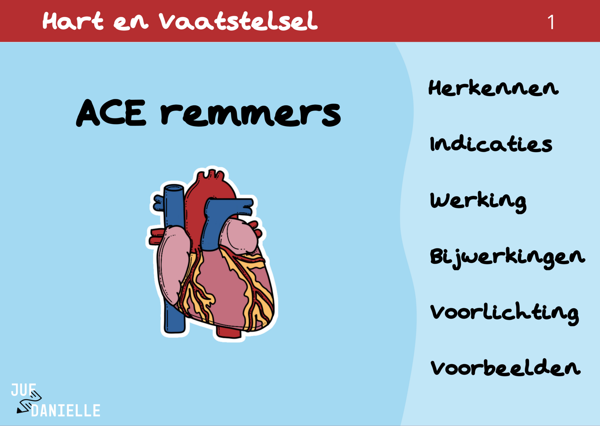 Leitnersysteem – Juf Danielle