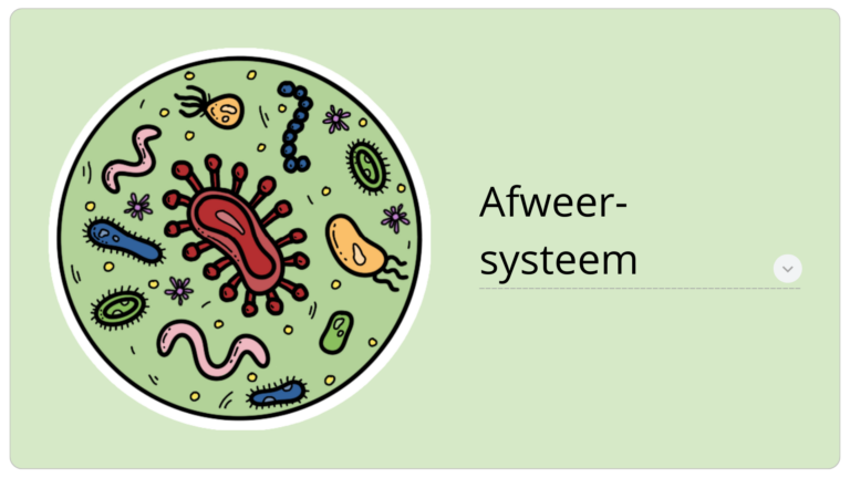 Fagocytose – Juf Danielle