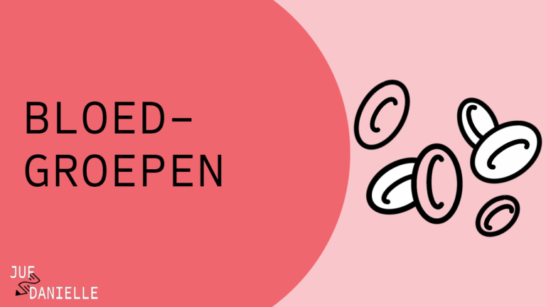 Blog – Juf Danielle