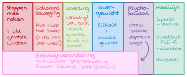 CVRM (Cardiovasculair Risicomanagement) – Juf Danielle