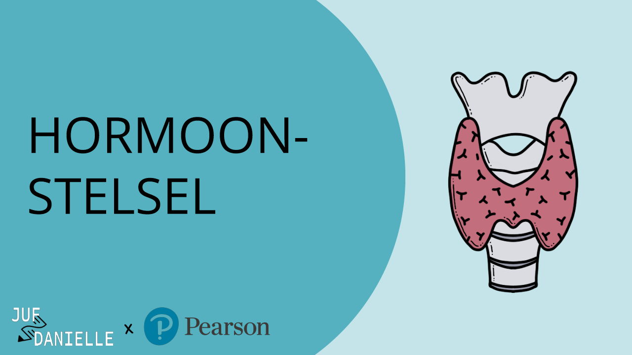 Hormoonstelsel: de basis – Juf Danielle