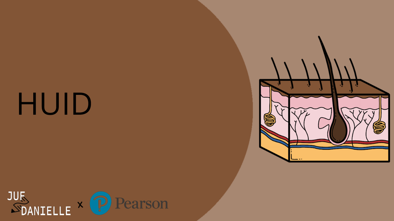 Huid: de basis – Juf Danielle